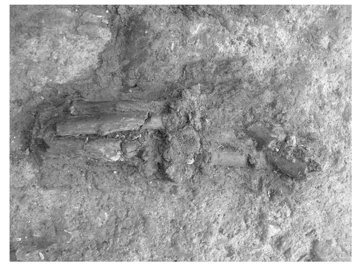 Figure 10 - The Destruction of the Yurac Rumi Shrine