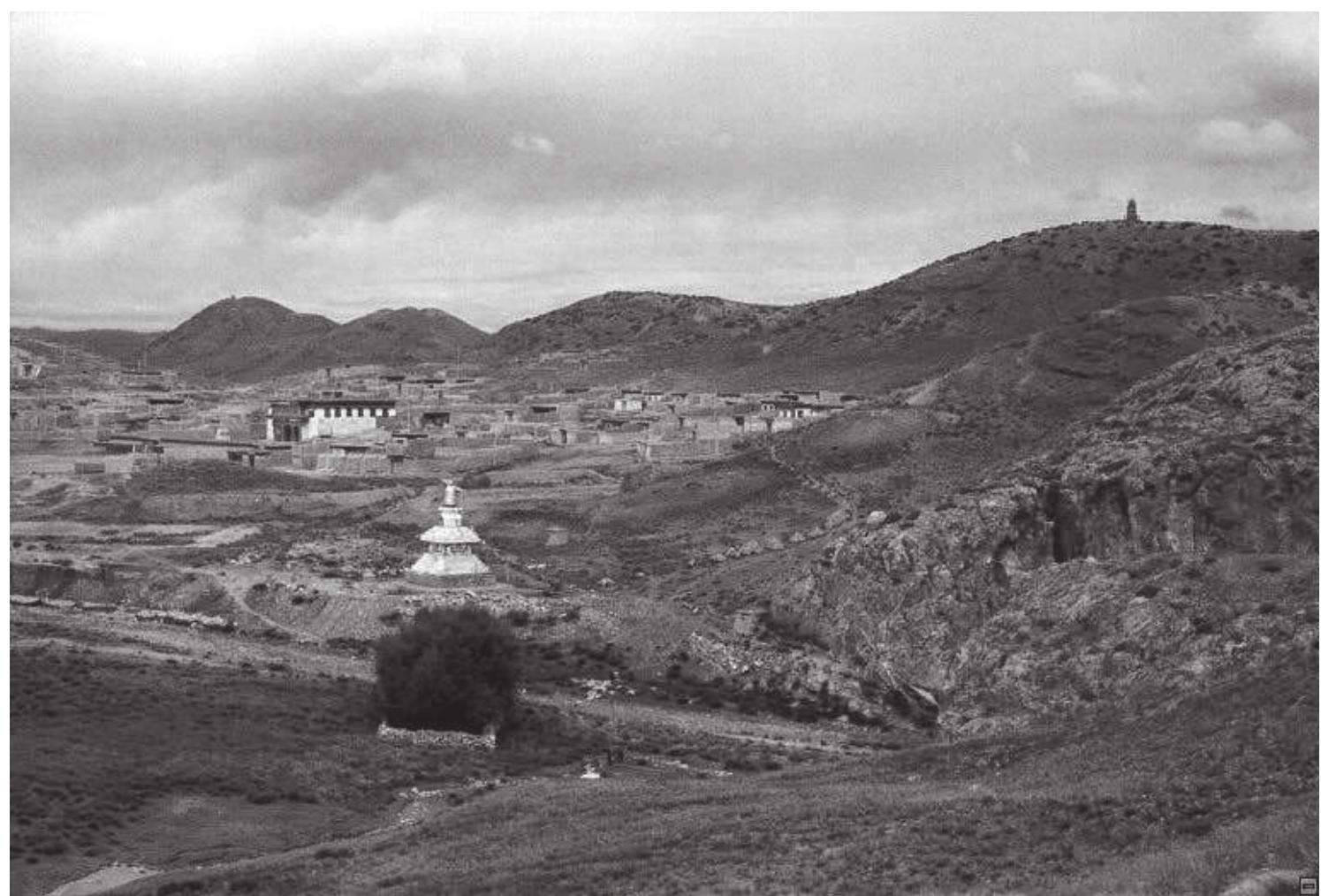 Plate 1: tsezhig monastery (photo by d. berounsky, 2003).