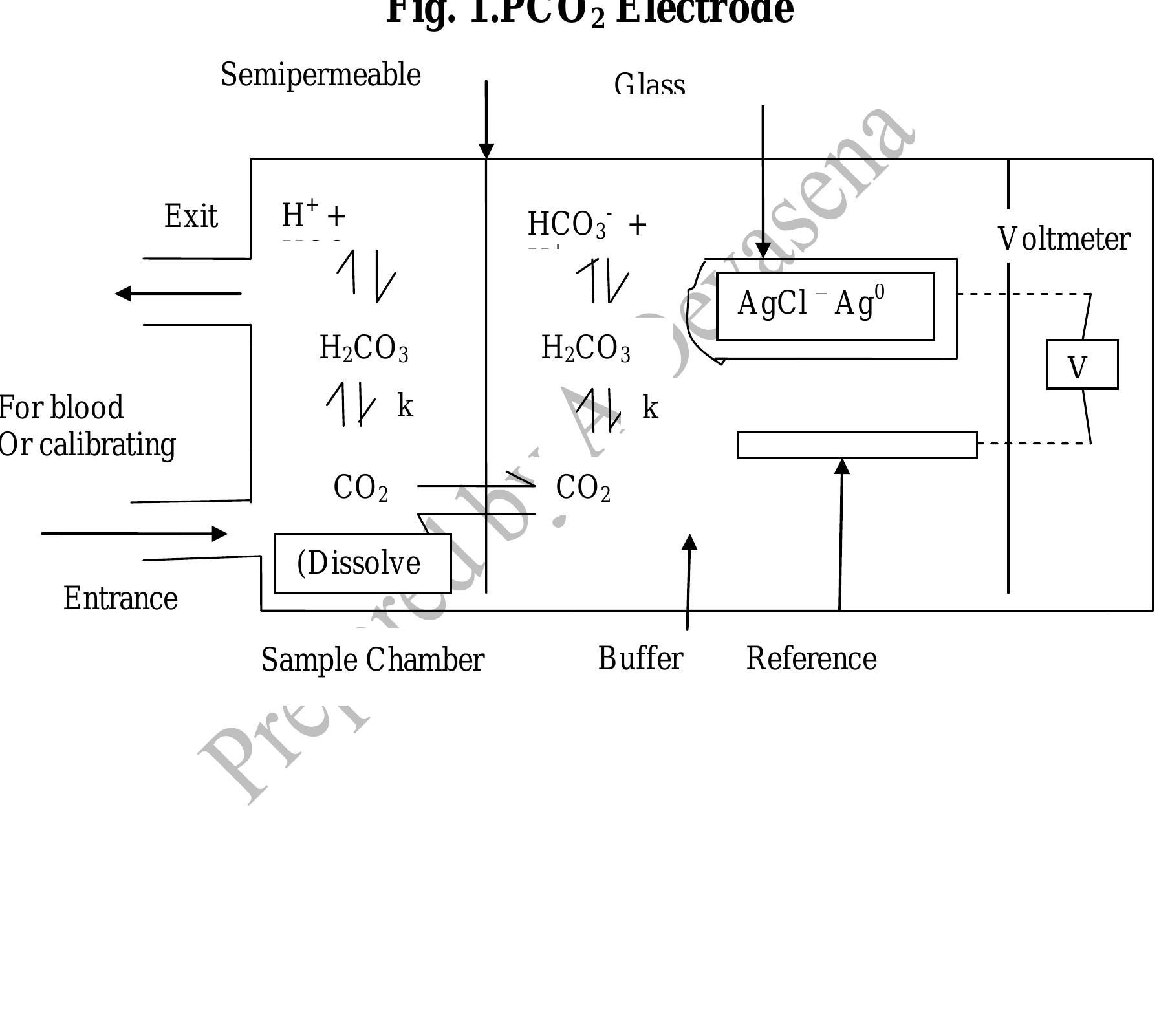 Figure 6 - EC2021- Medical Electronics notes for all five