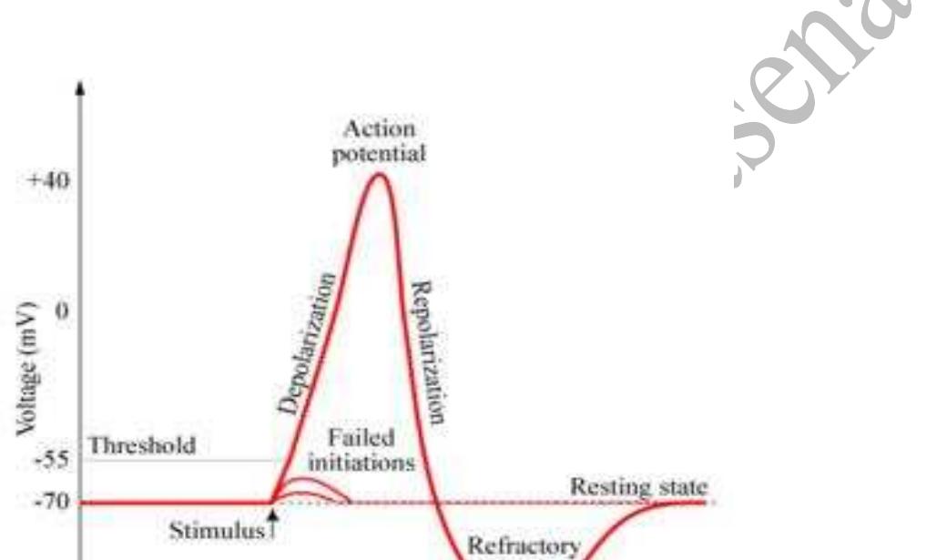 Figure 8 - EC2021- Medical Electronics notes for all five