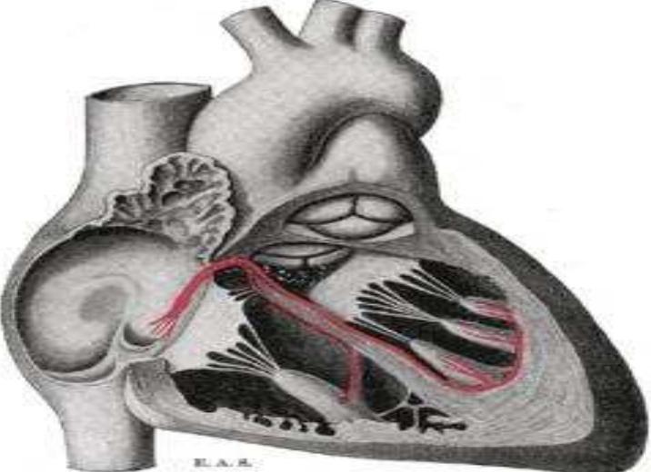 Figure 18 - EC2021- Medical Electronics notes for all five