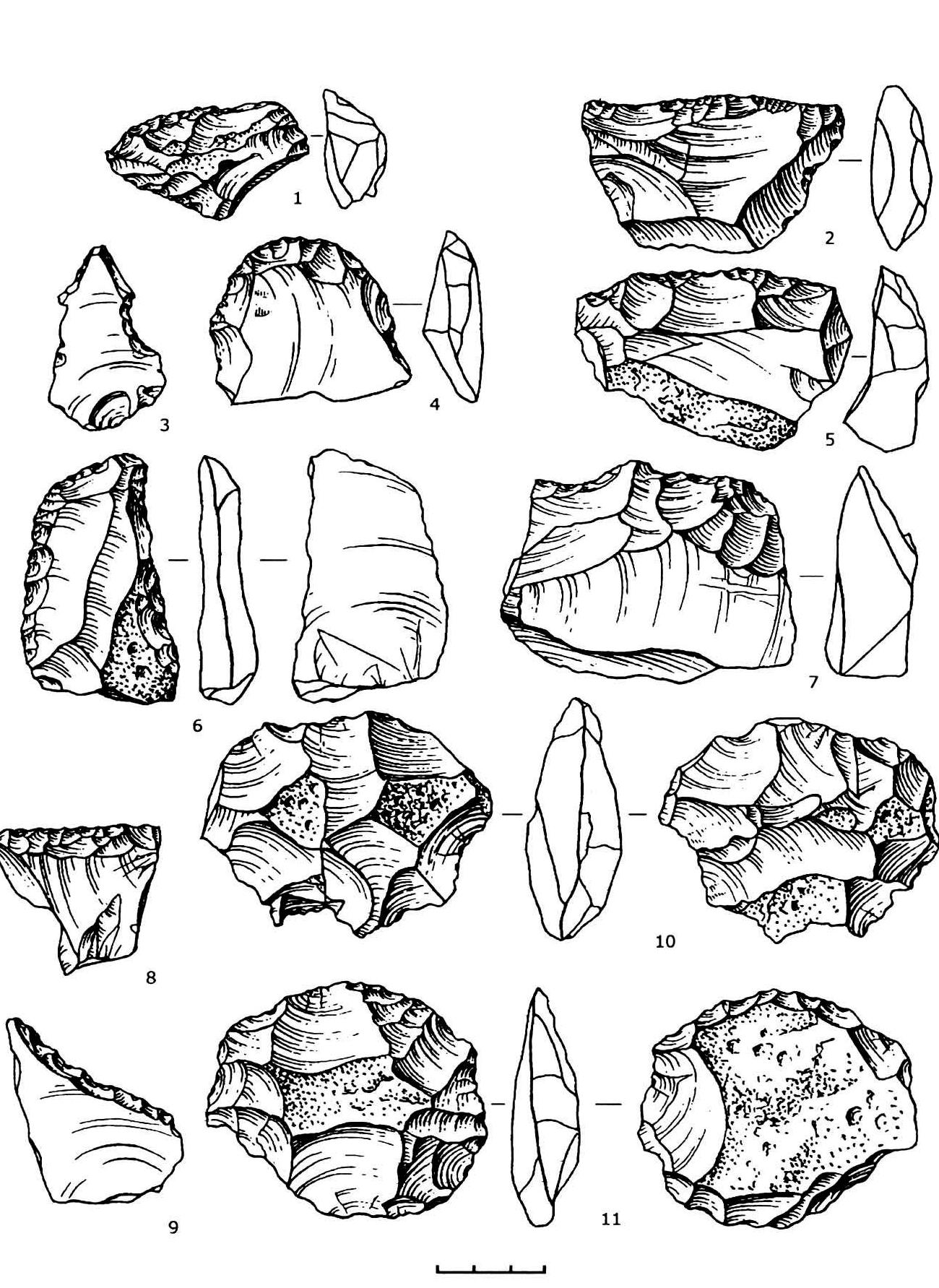 Middle paleolithic cores (10, 11) and tools (1~9) from the