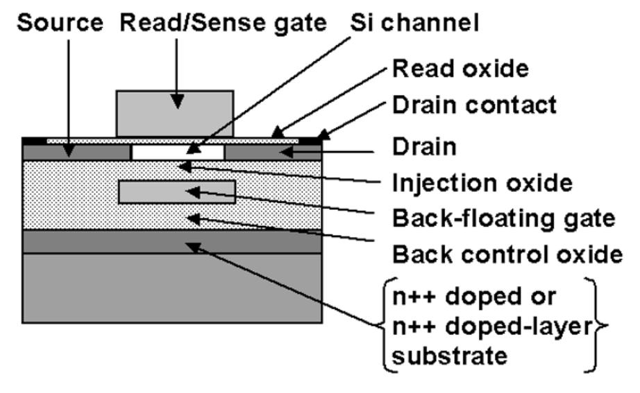 Cross-section of a back-floating gate flash memory cell. can