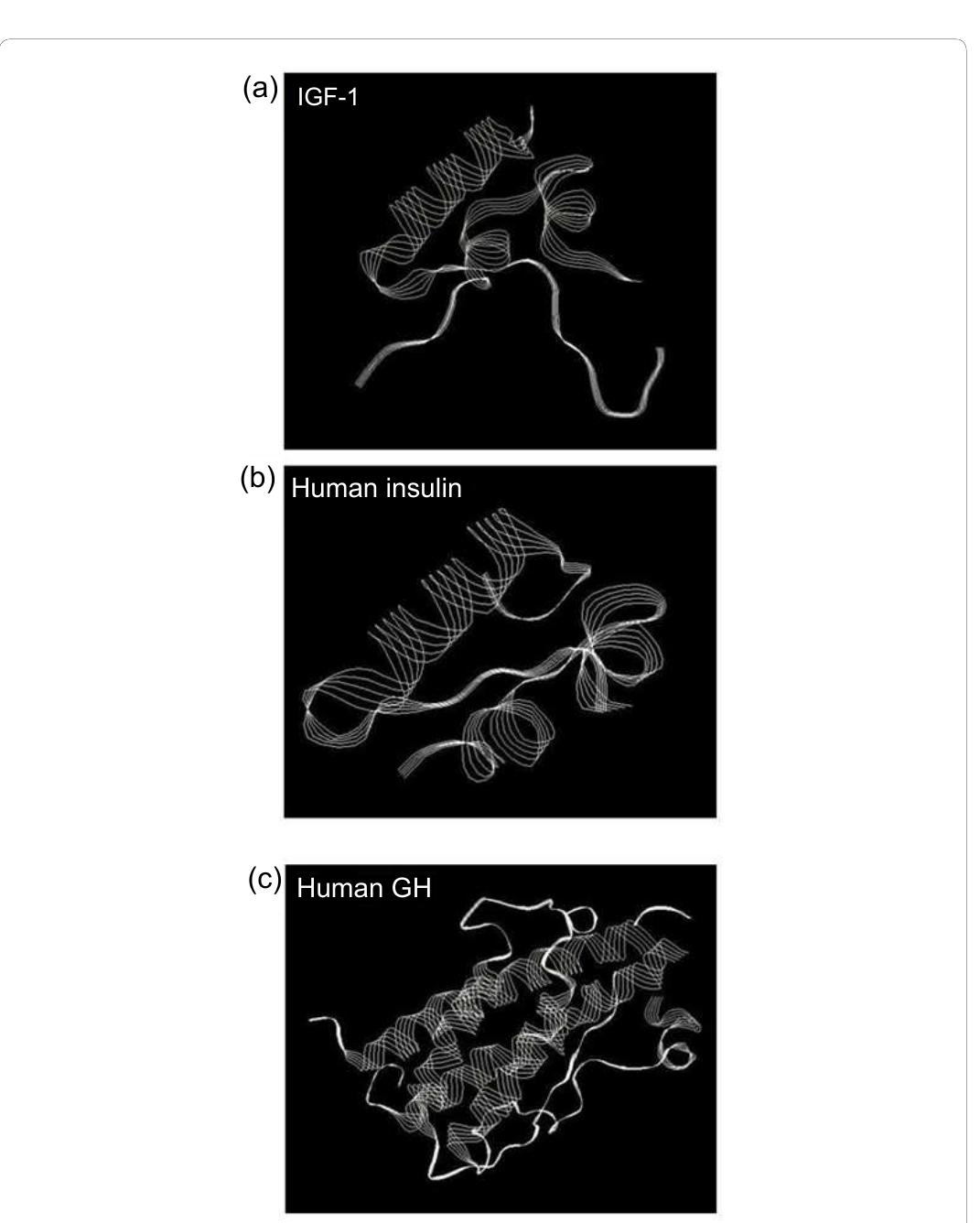 Rasmol generated structures of protein hormones using rcsb
