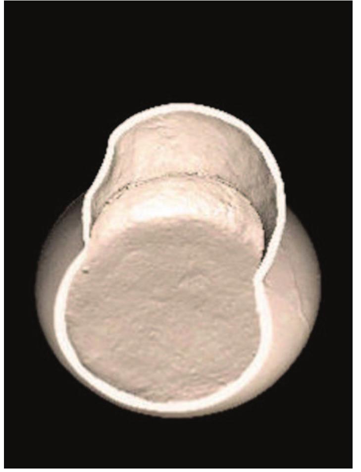 ct scan image of the owl bottle. fig. 6.— ct scan image of