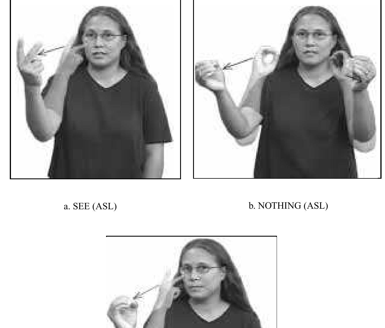 Figure 9 - The Paradox of Sign Language Morphology