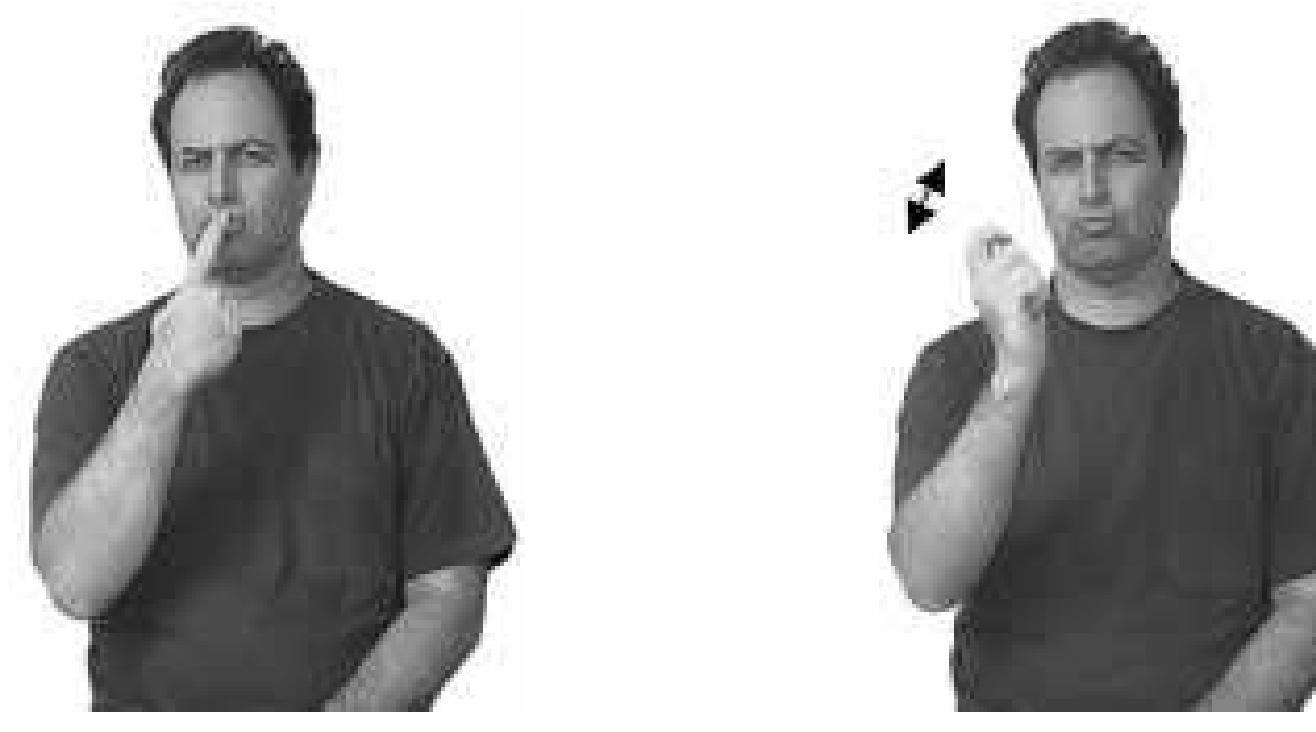 Figure 15 - The Paradox of Sign Language Morphology