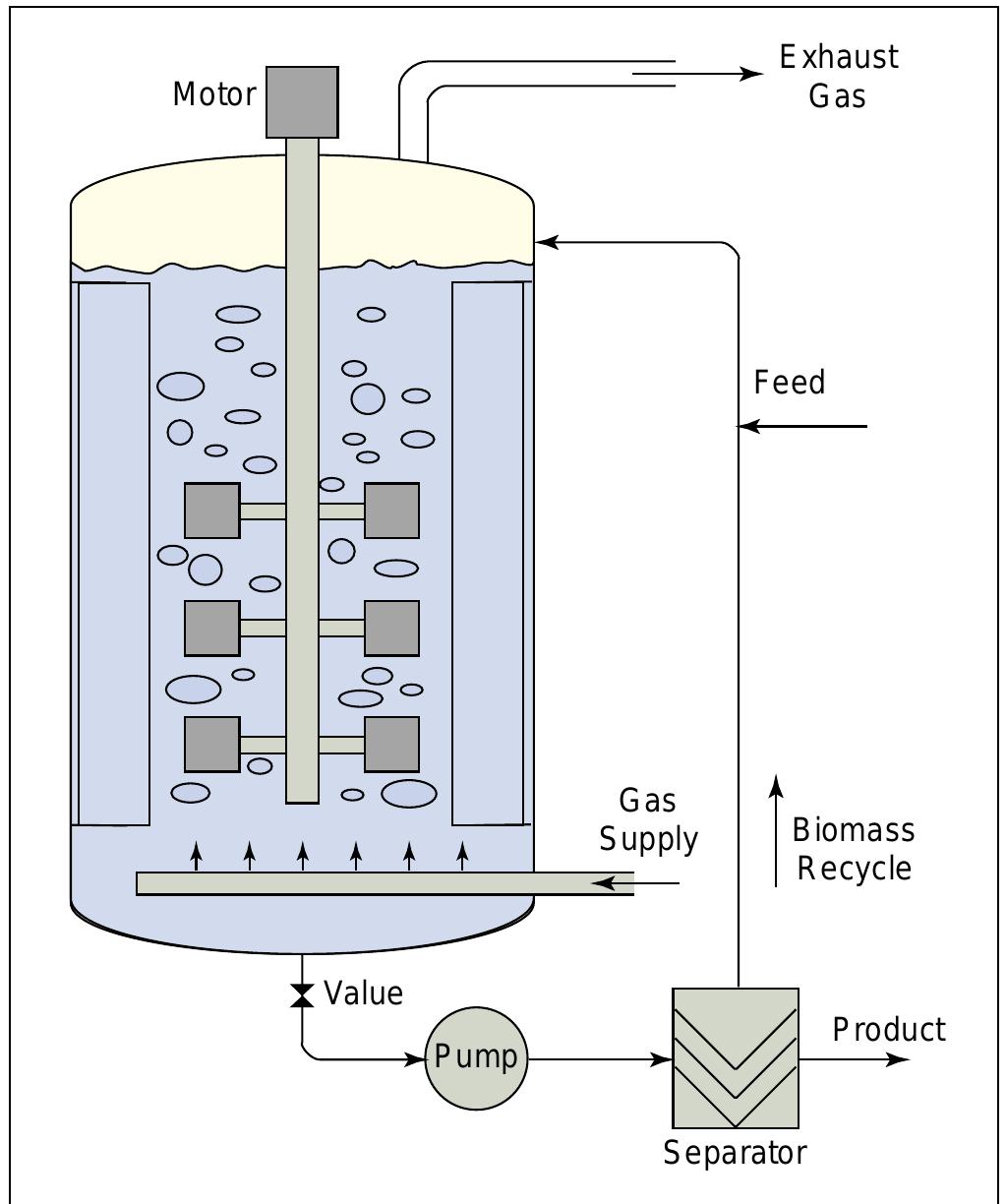 Wi figure 3. stirred-tank bioreactor uses baffles and an