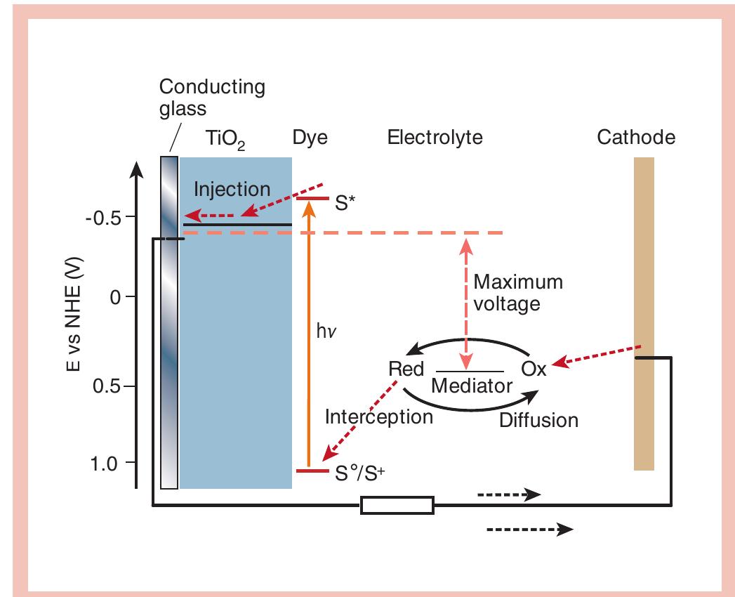 Schematic of operation of the dye-sensitized electrochemical