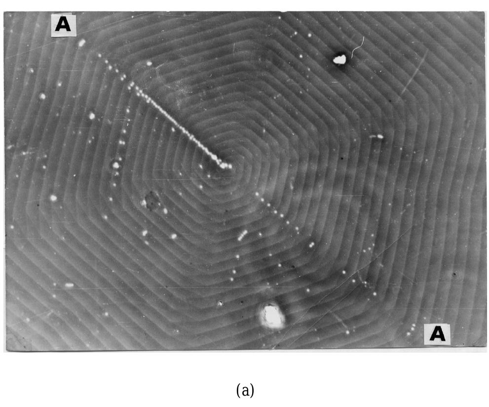Figure 3 - Growth and Morphology of Crystals