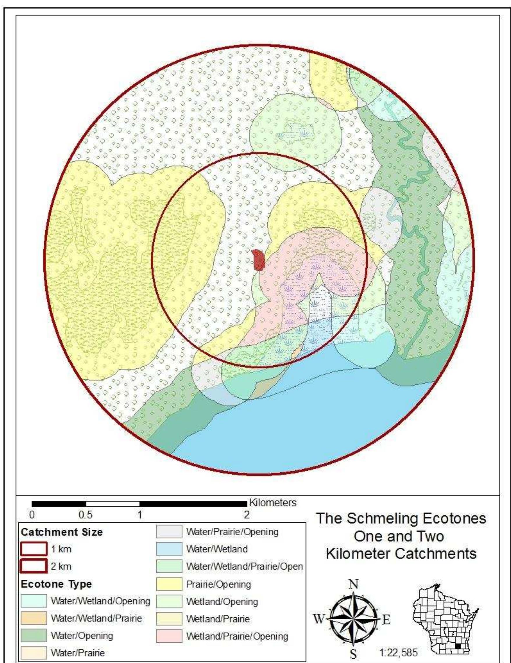 Map of ecotones near schmeling.