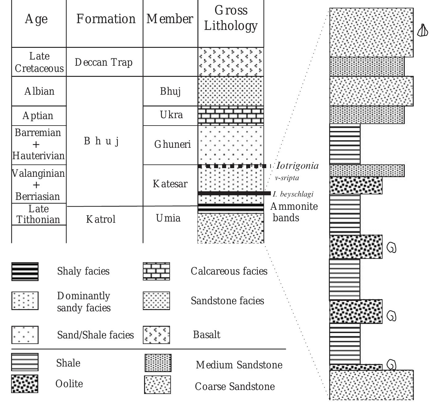 2 stratigraphic section showing the position of the late