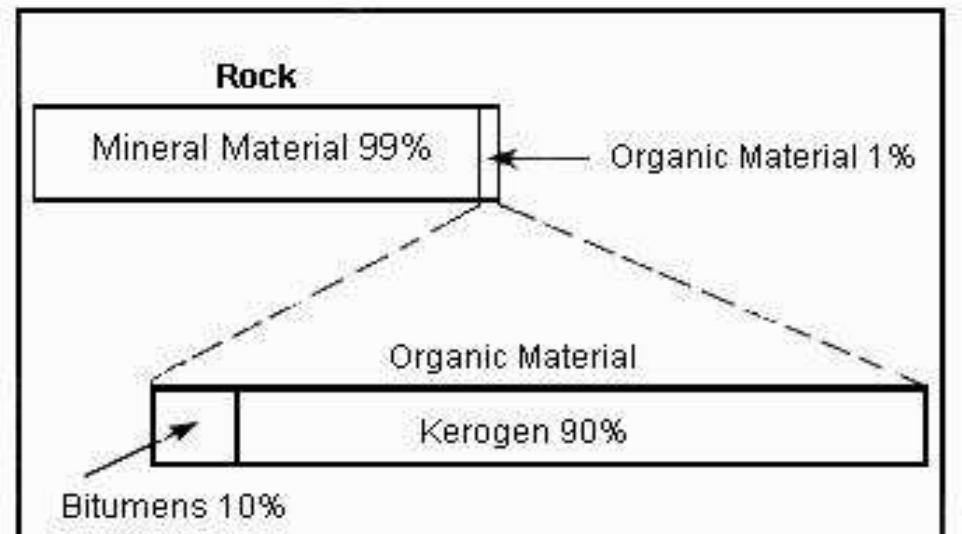 Five major types of hydrocarbons of interest to petroleum