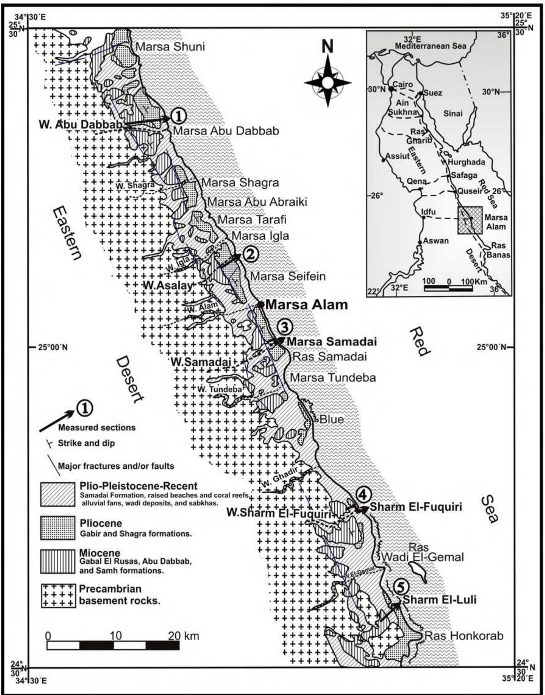 (1): simplified geological map of the study area (modified