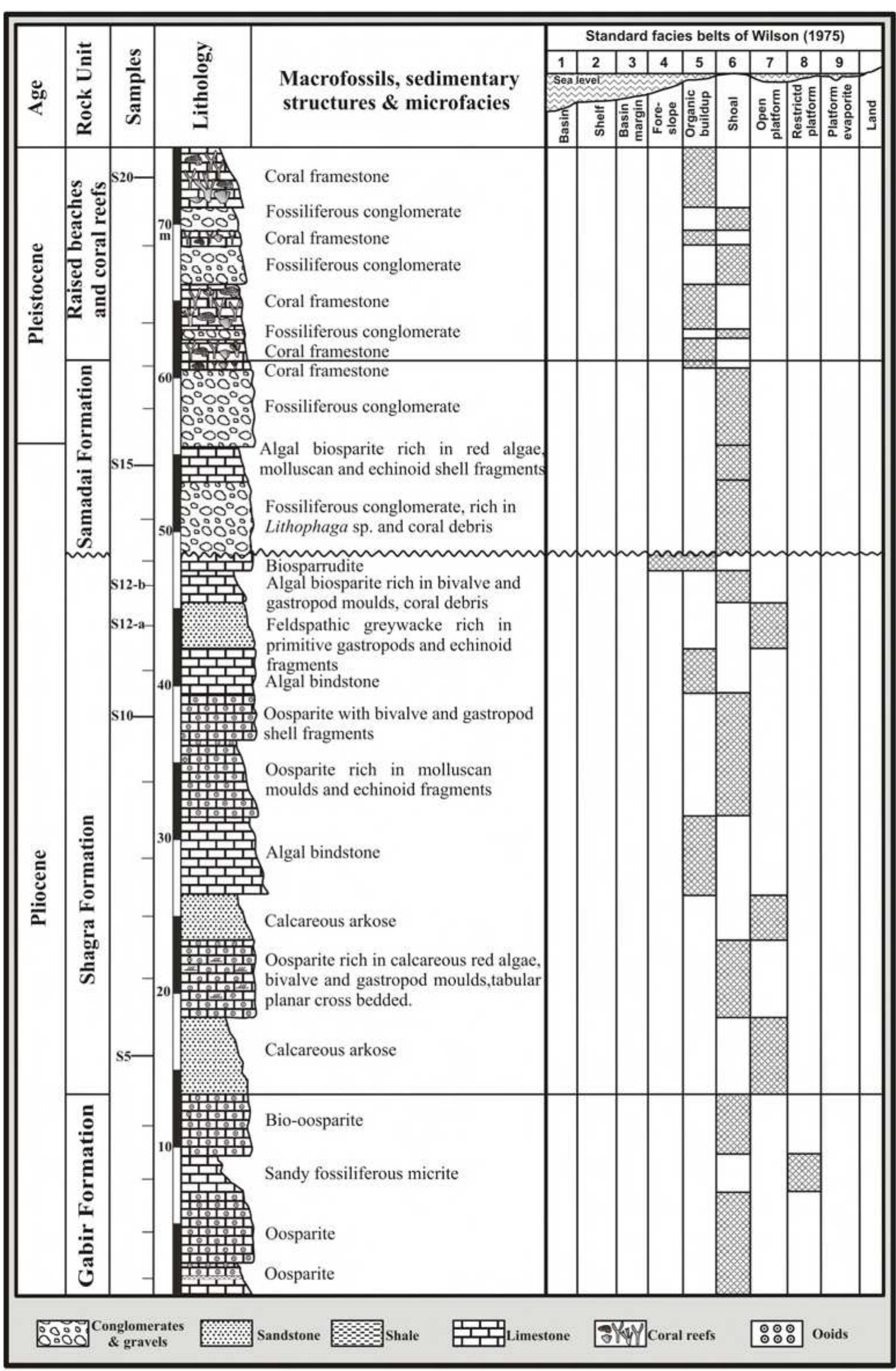 (9): fauna, facies types and facies belts recognized in the