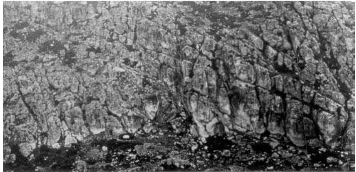 83 massive reef limestone (left) with offlapping reef-debris