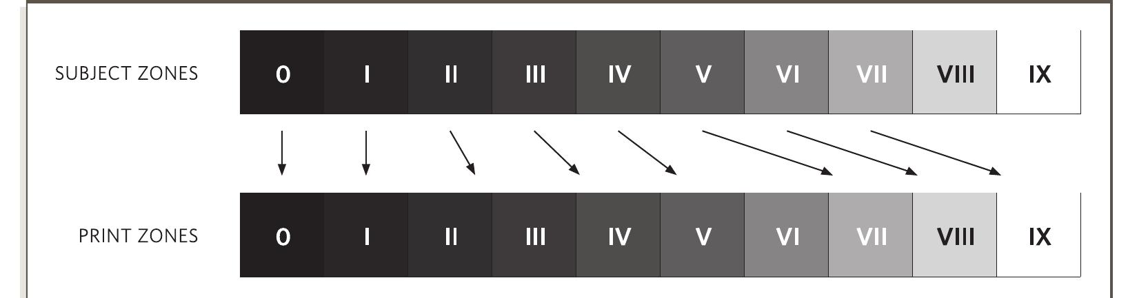 The lines labeled “print zones” represent the zones of the
