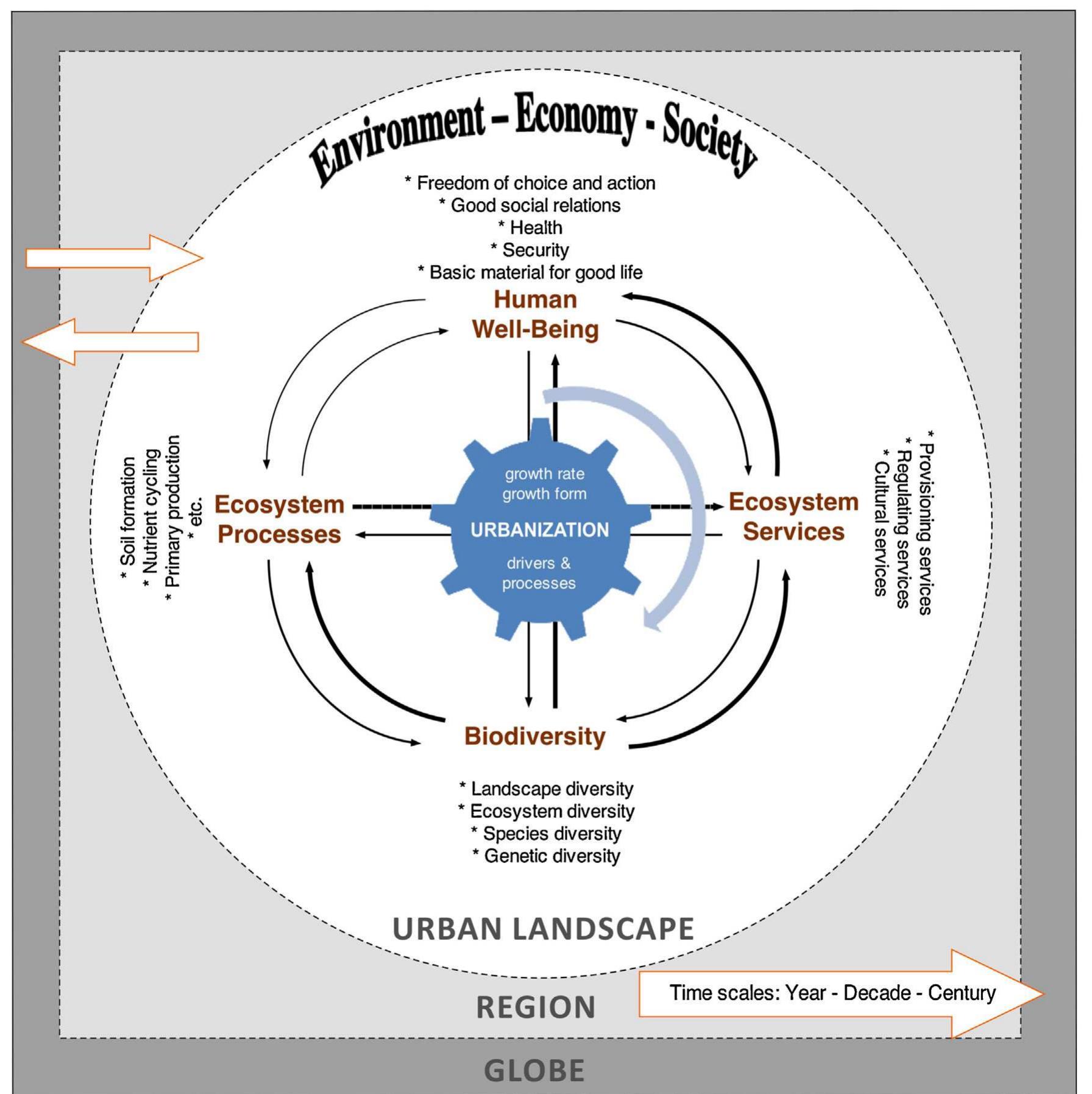 Figure 4 - from Urban ecology and sustainability: the