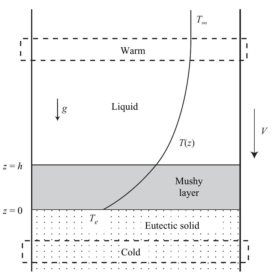 Schematic diagram of the solidification process showing a