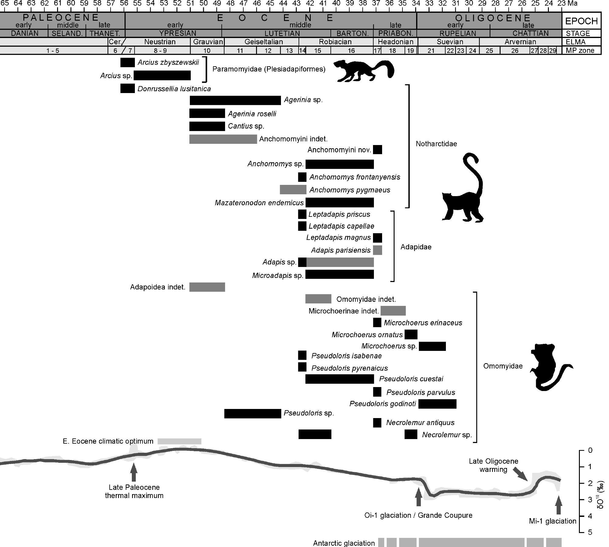 (PDF) The primate fossil record in the Iberian Peninsula