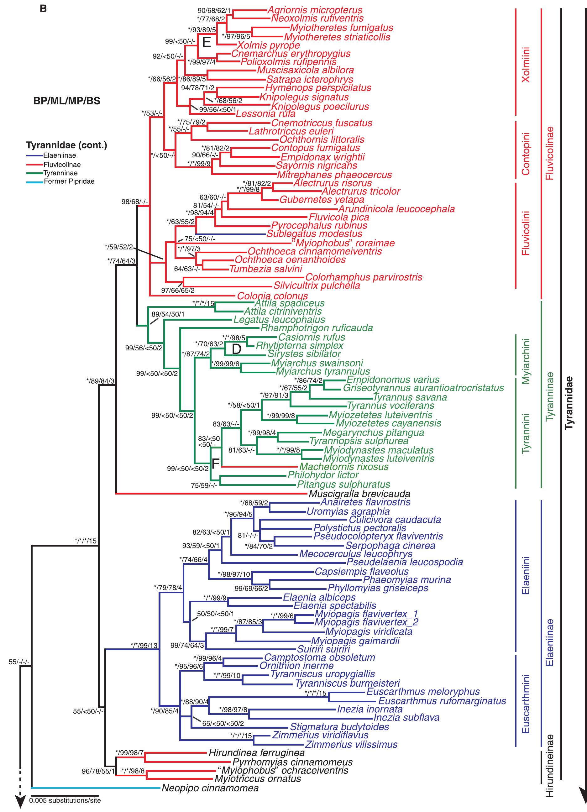 Figure 4 - from Phylogeny and phylogenetic classification of