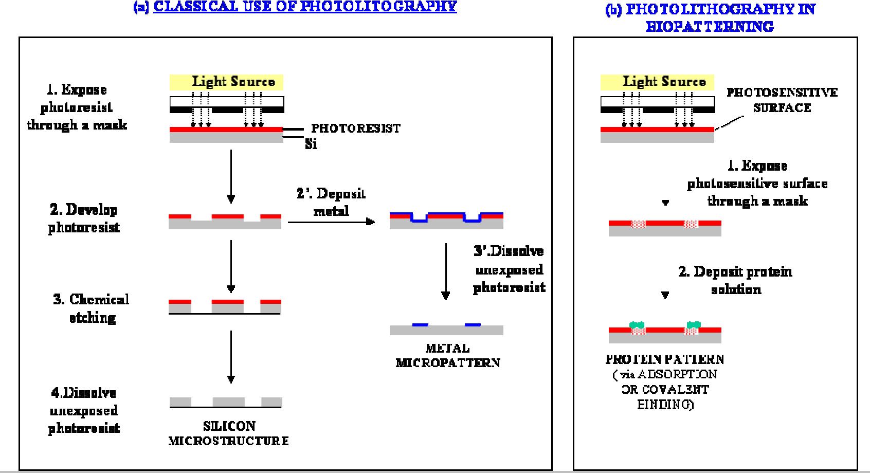 Mode photolithography). photolithography uses light (uv,