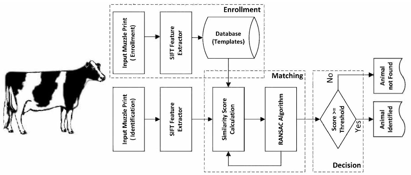 A flowchart of a complete animal identification system using