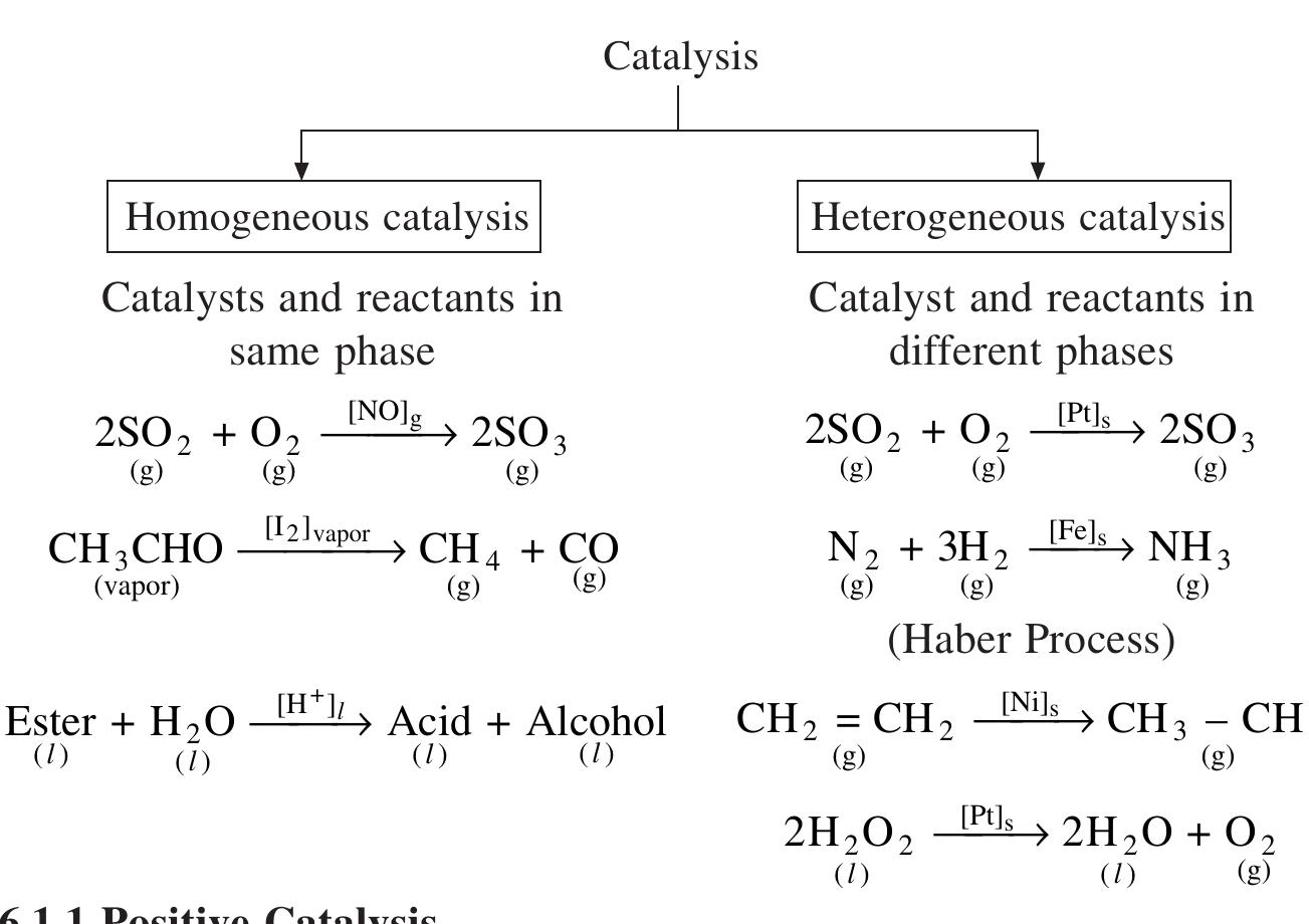 (PDF) Chemical Kinetics and Reaction Dynamics