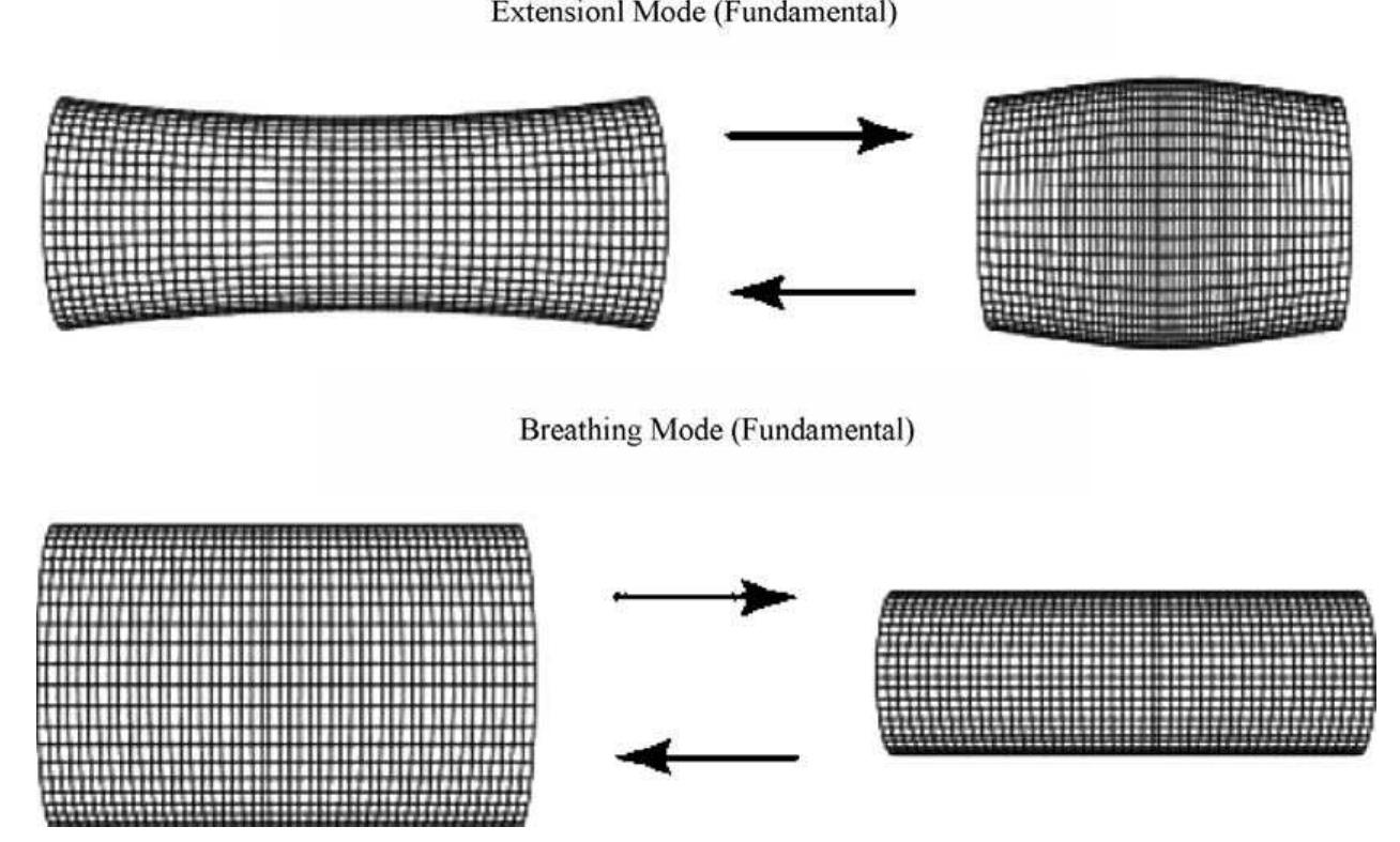 1. diagram showing the fundamental extensional and breathing