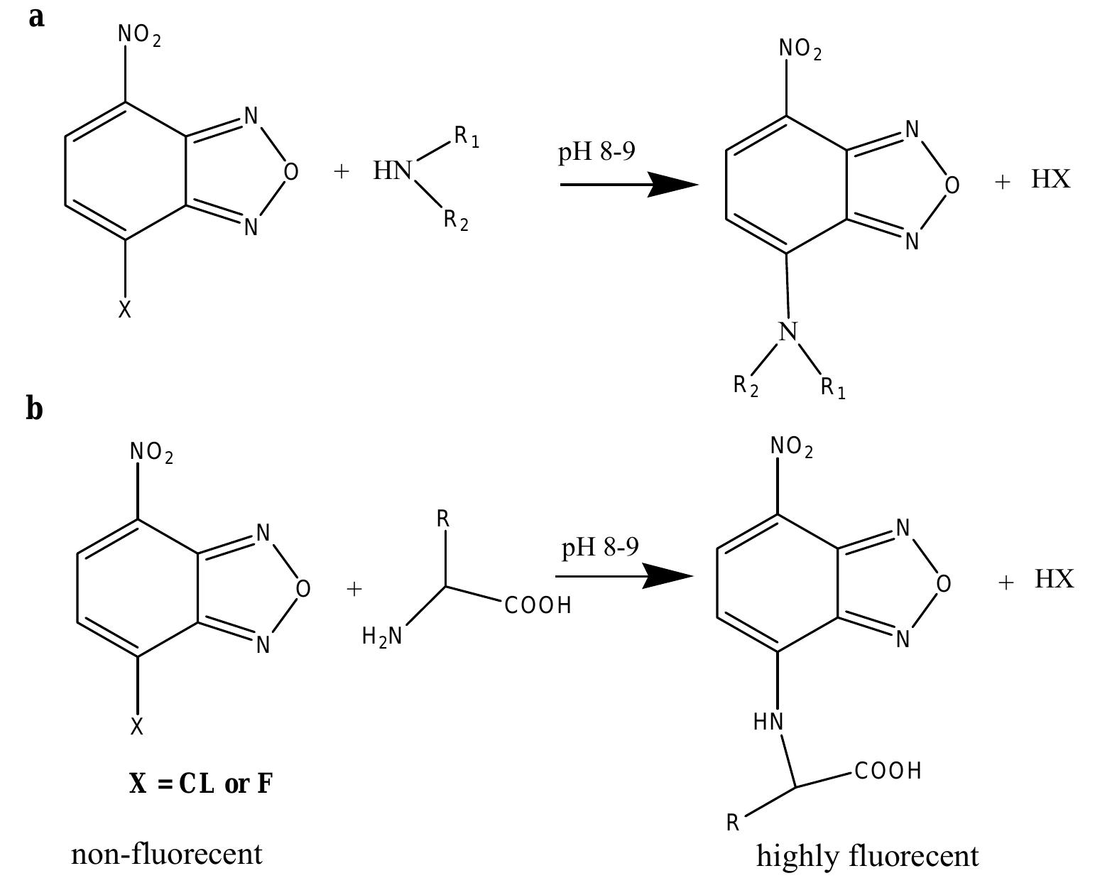 Schematic diagram for the reaction of amines and amino acids