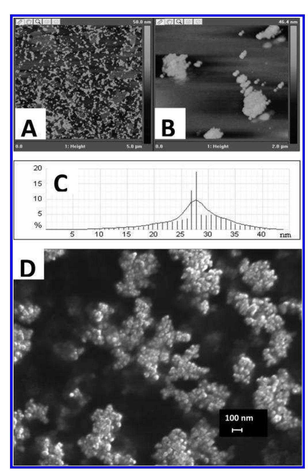 Afm images of the formed polypyrrole nanoparticles with (a)