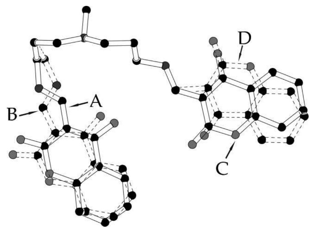 Disorder identified in the crystal structure of compound 5a.