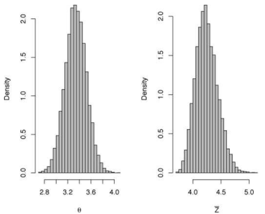 4. histograms of the posterior distributions of 9 and z from