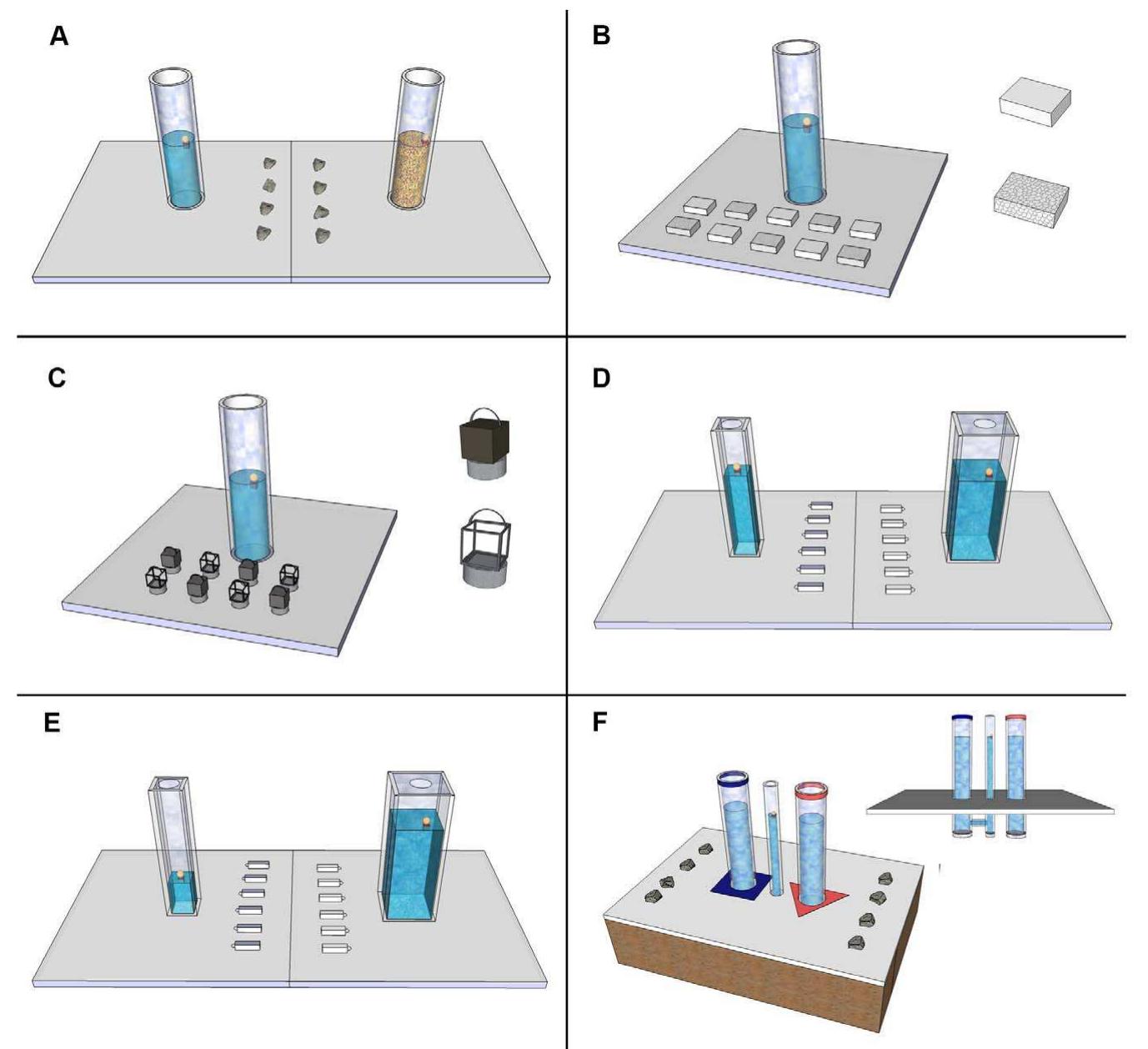 Diagrams of the apparatus used in each of the 6 experiments.