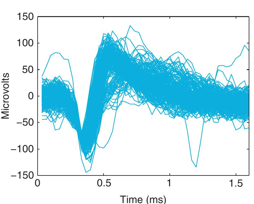 4 a plot of 200 extracellular action potential waveforms