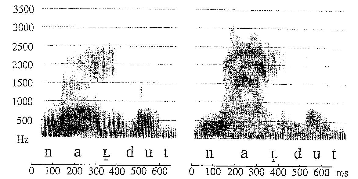 15 spectrograms illustrating the voiced velar lateral