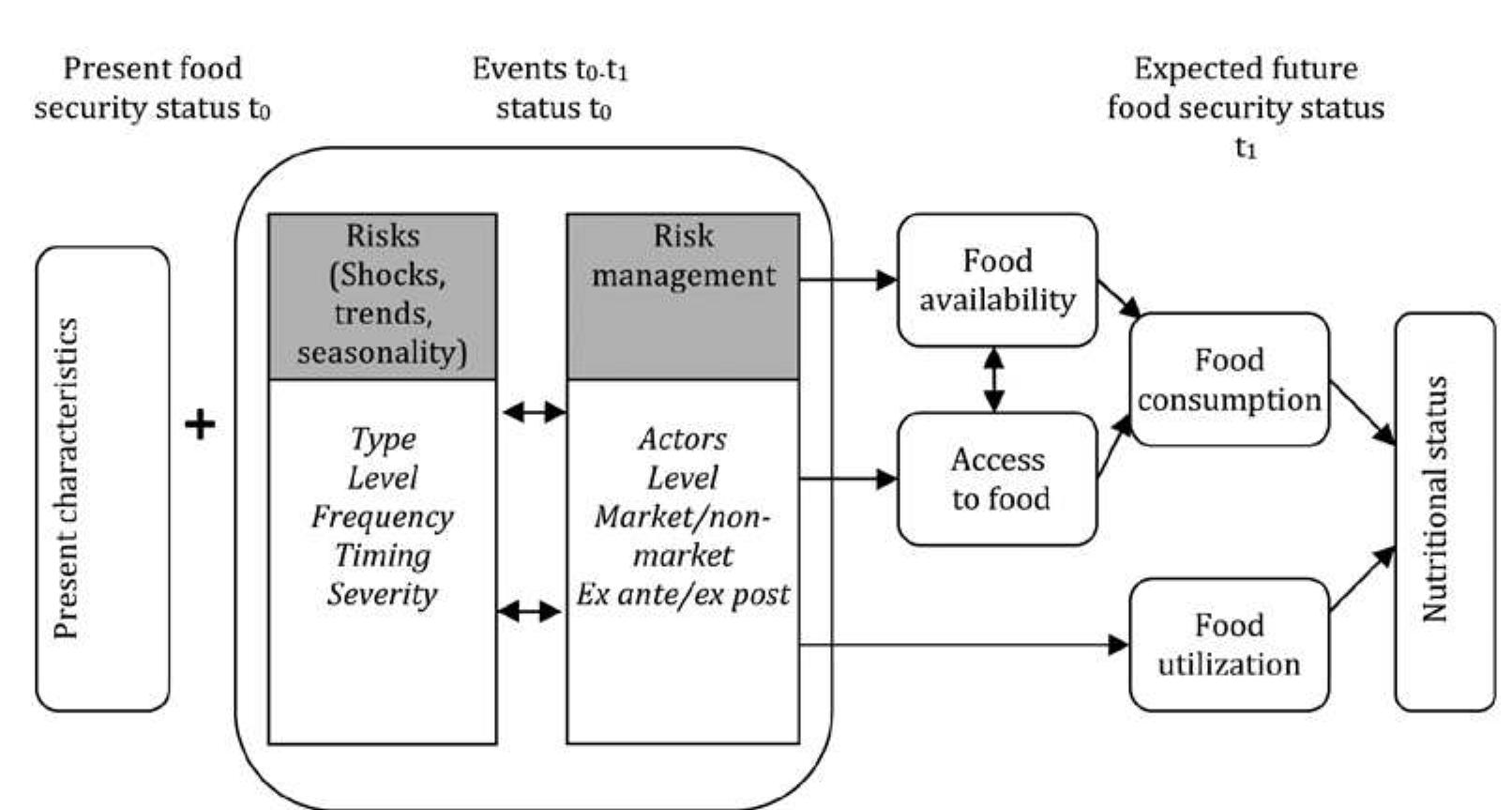 A framework for analysing vulnerability to future food