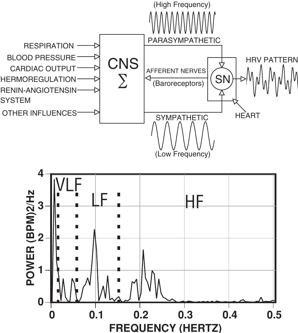The top diagram illustrates the nervous system links between