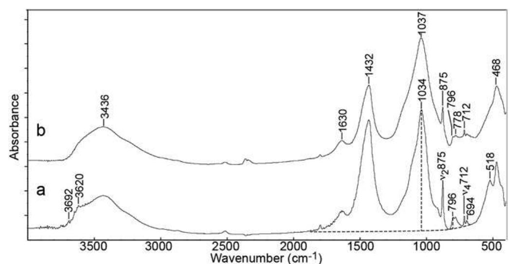 Infrared spectra of: a. typical sediment from surface 2