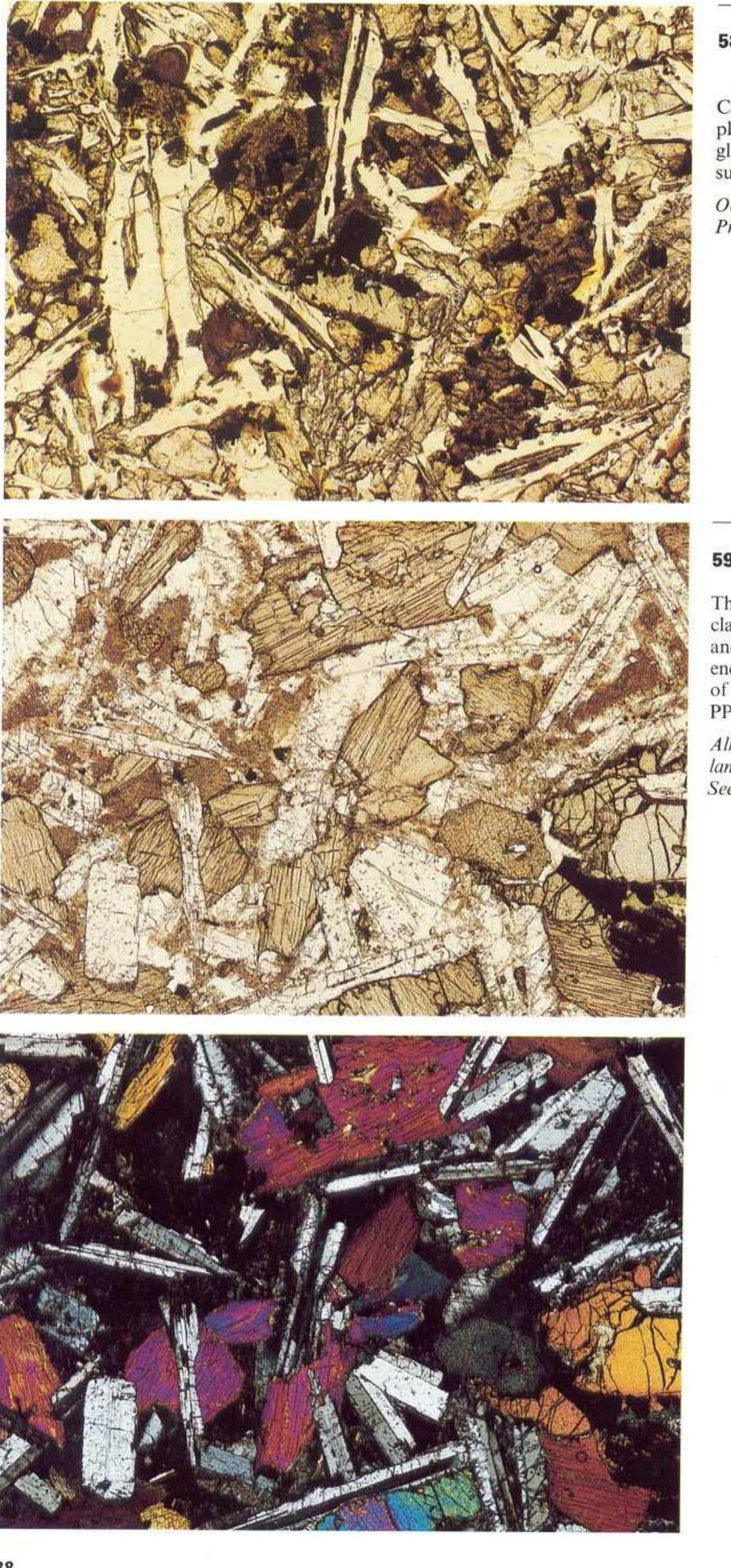 Figure 48 - Atlas of igneous rocks and their textures