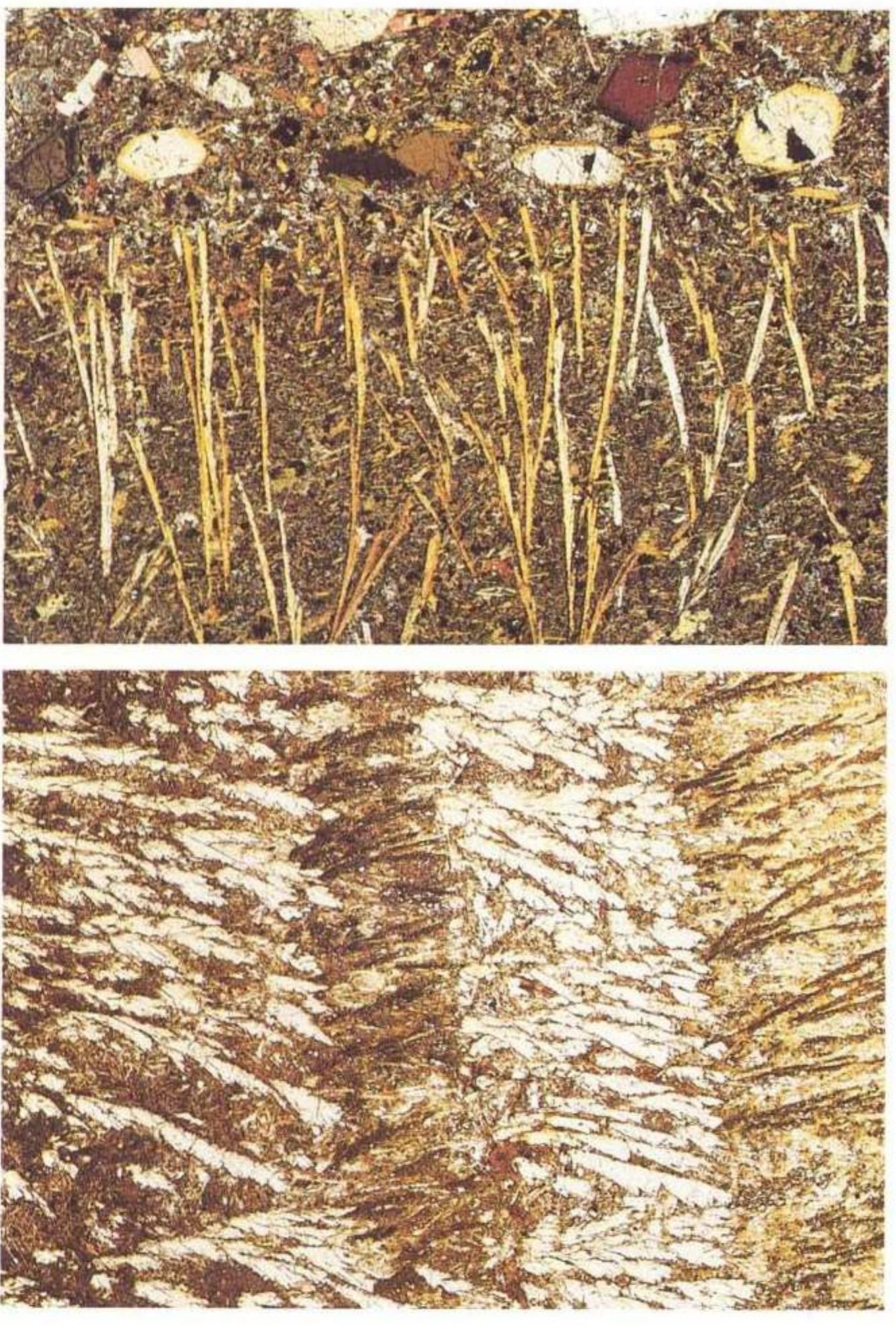 Elongate, possibly curved, branching crystals sharing the