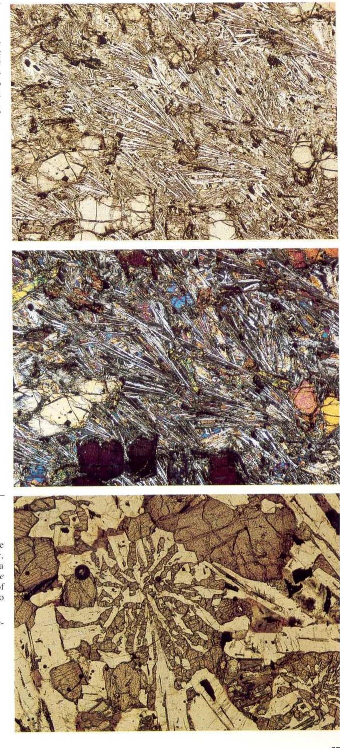 Figure 72 - Atlas of igneous rocks and their textures