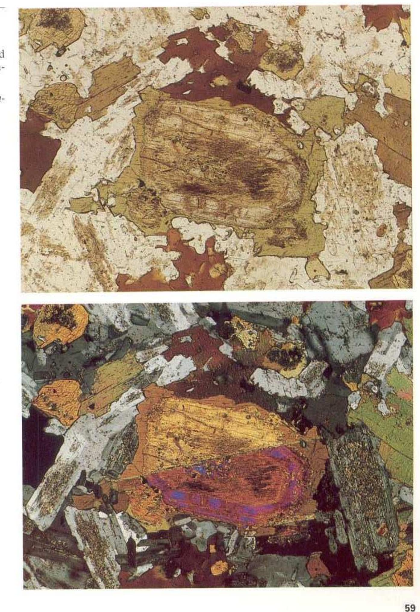 Figure 76 - Atlas of igneous rocks and their textures