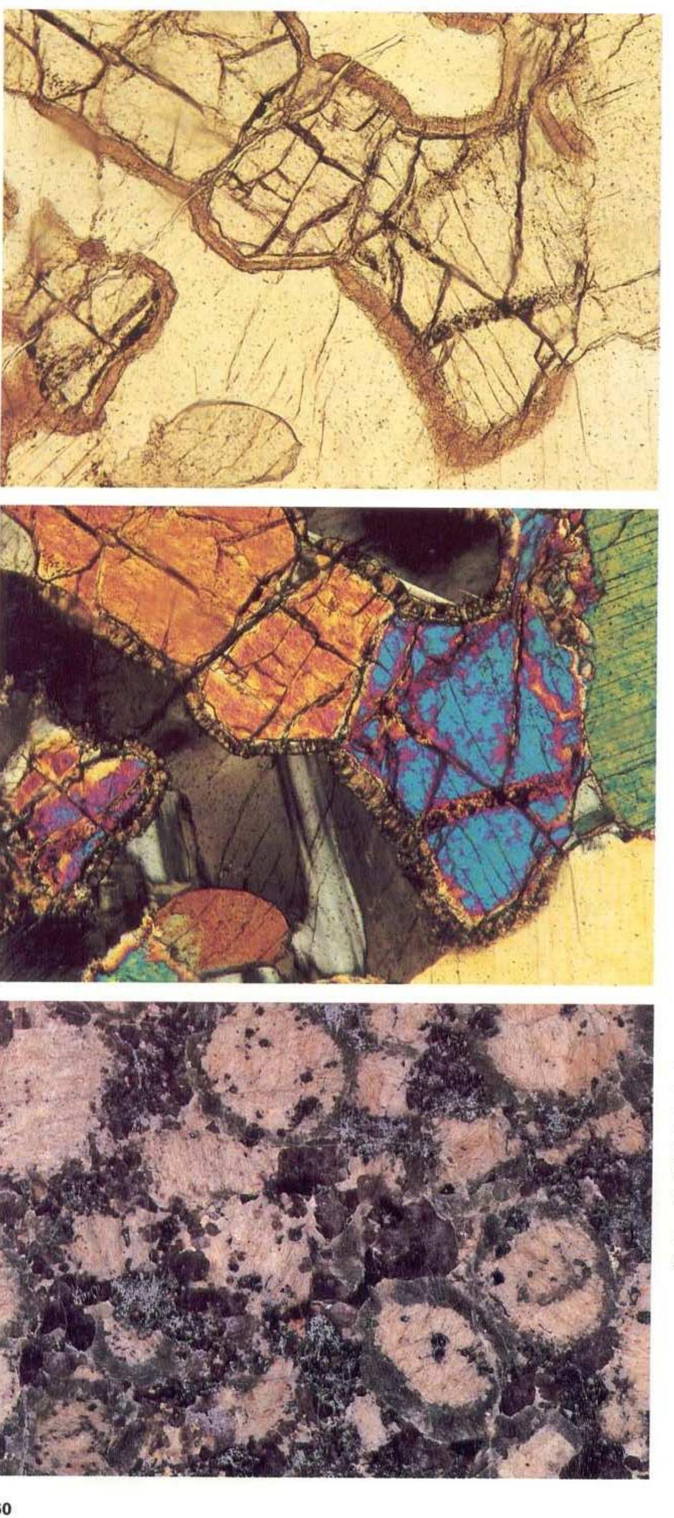 Figure 77 - Atlas of igneous rocks and their textures