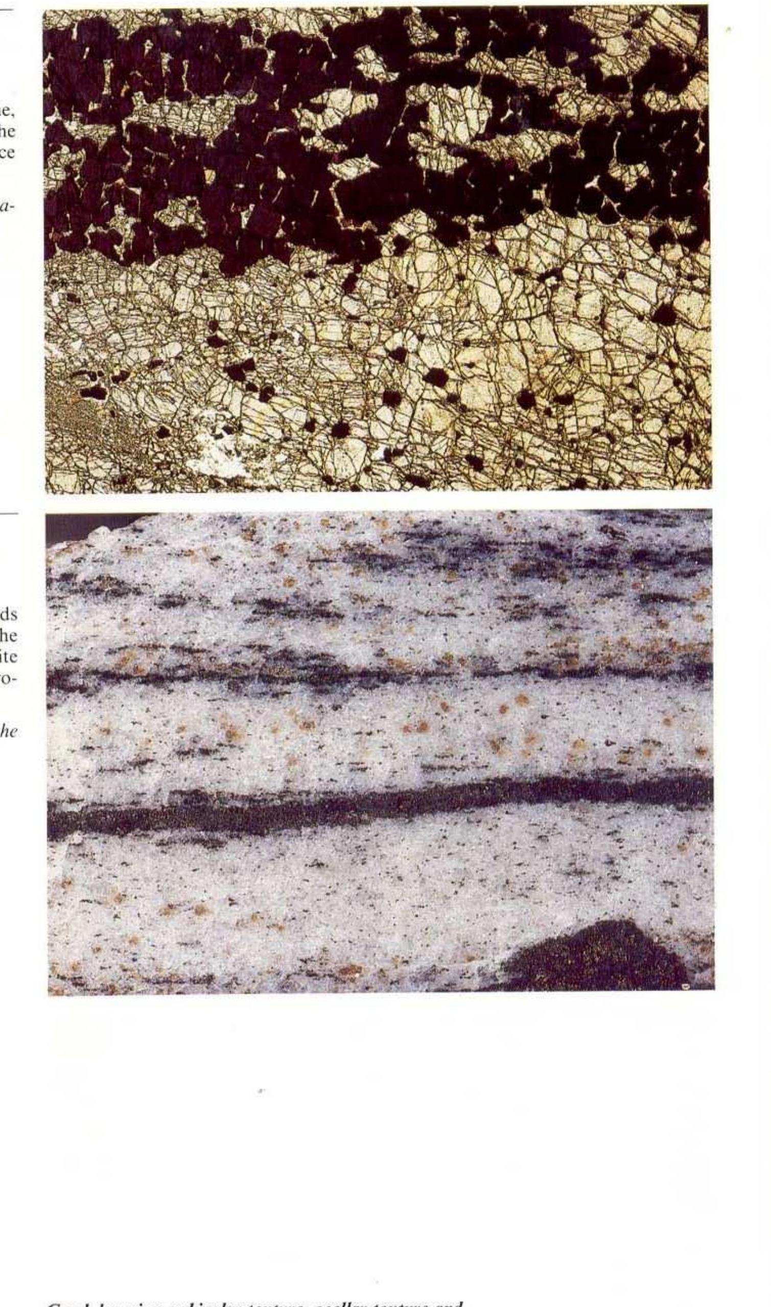 Comb layering (see p. 44, 70 and 71) and orbicular texture