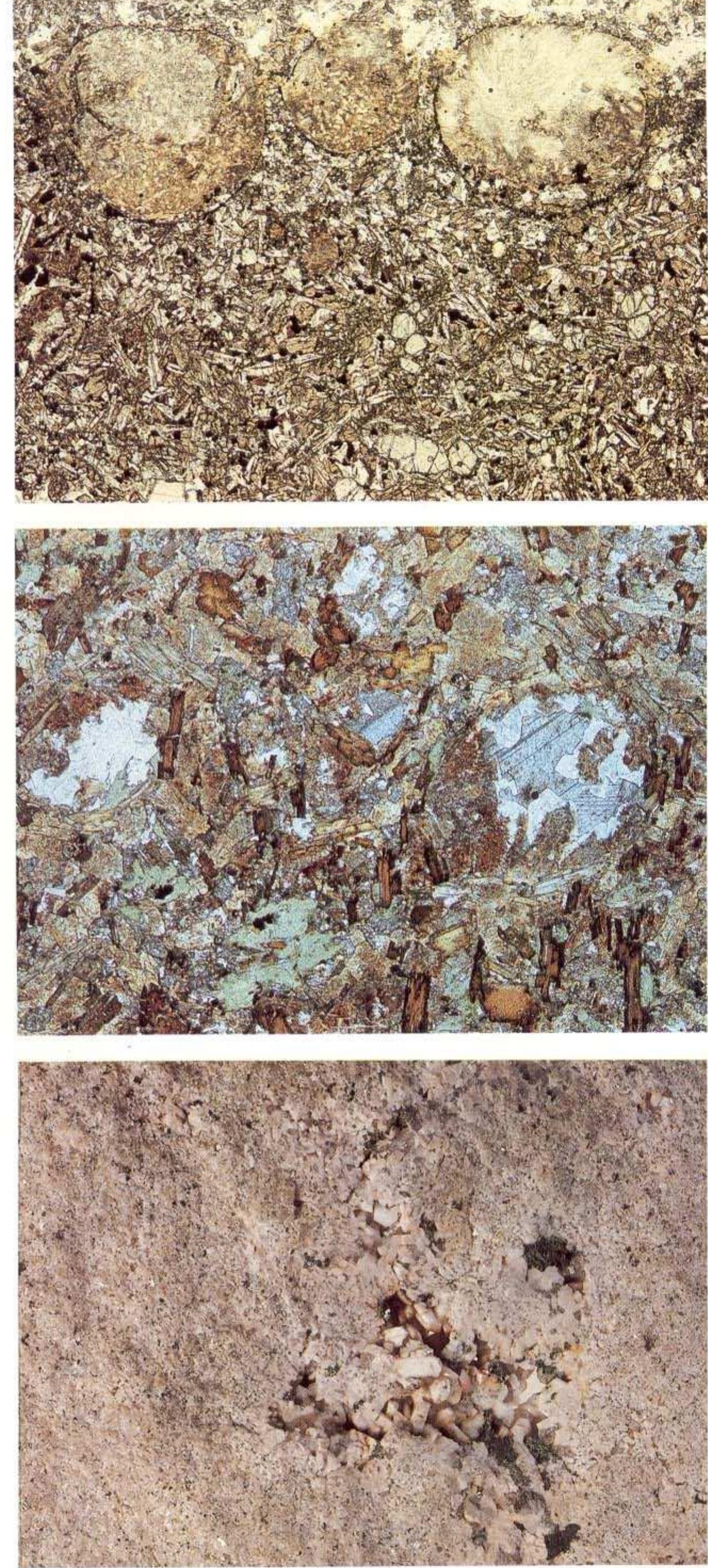Figure 94 - Atlas of igneous rocks and their textures