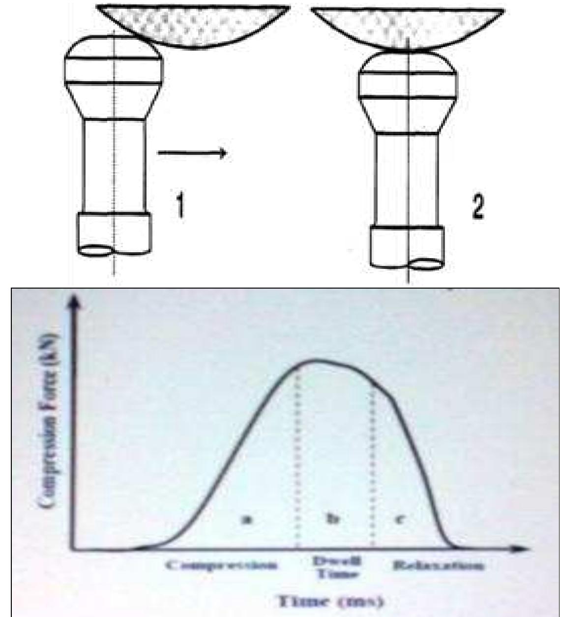 Phases of compression event on a rotary tablet press (a)