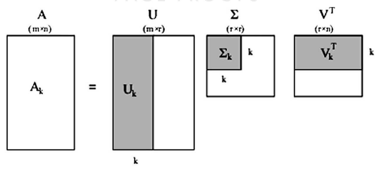 1. diagram of the truncated svd. a pictorial representation