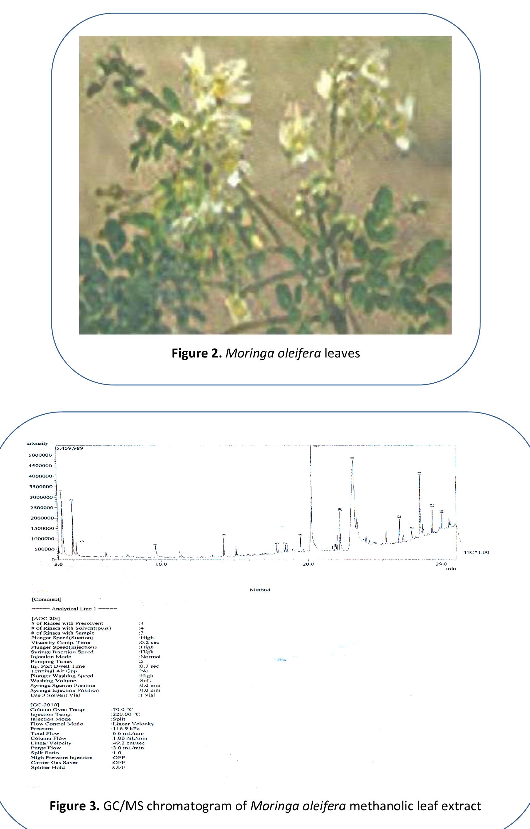 Figure 2 - from Chemical Constituents of Moringa oleifera