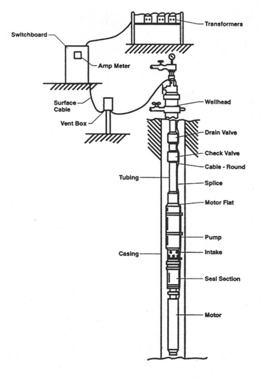 Schematic of typical esp system figure 6: schematic of beam